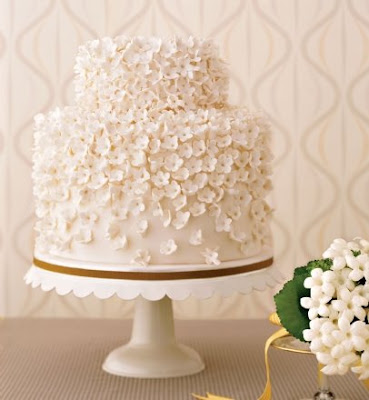 let them eat anemones: LovinSullivan Cakes